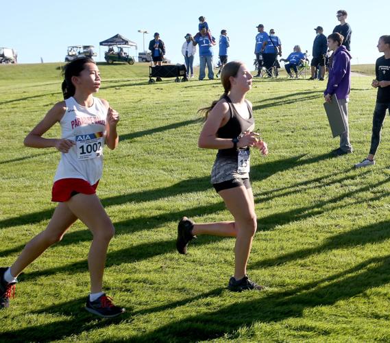 State Cross Country Division II 11/12/22 | Sports | pinalcentral.com