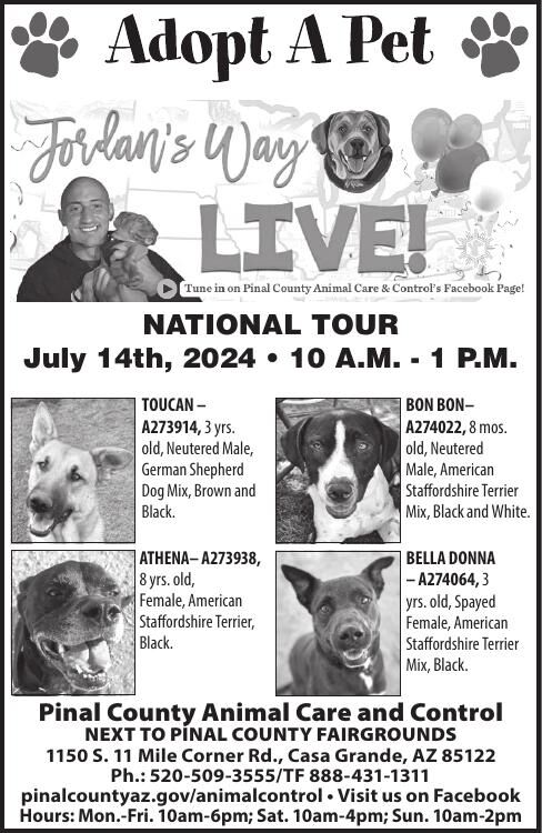 Pinal County Animal Care and Control, 7/11/24 | Adopt A Pet ...