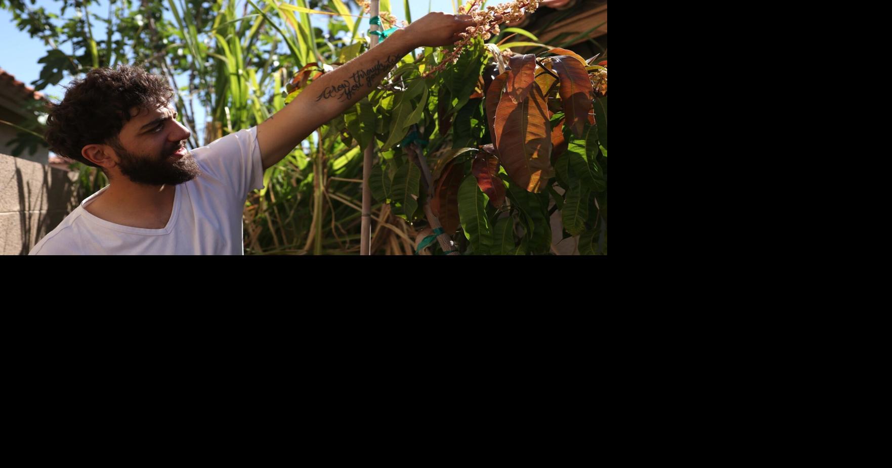 Food forest 360 tour: Glendale permaculture landscape designer grows ...