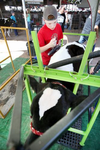 Pinal County Fair 3/20/19 | Featured | pinalcentral.com