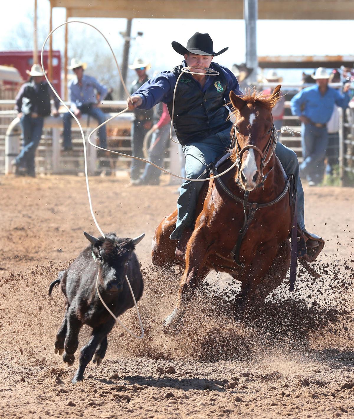 Central Arizona College Rodeo | Featured | pinalcentral.com
