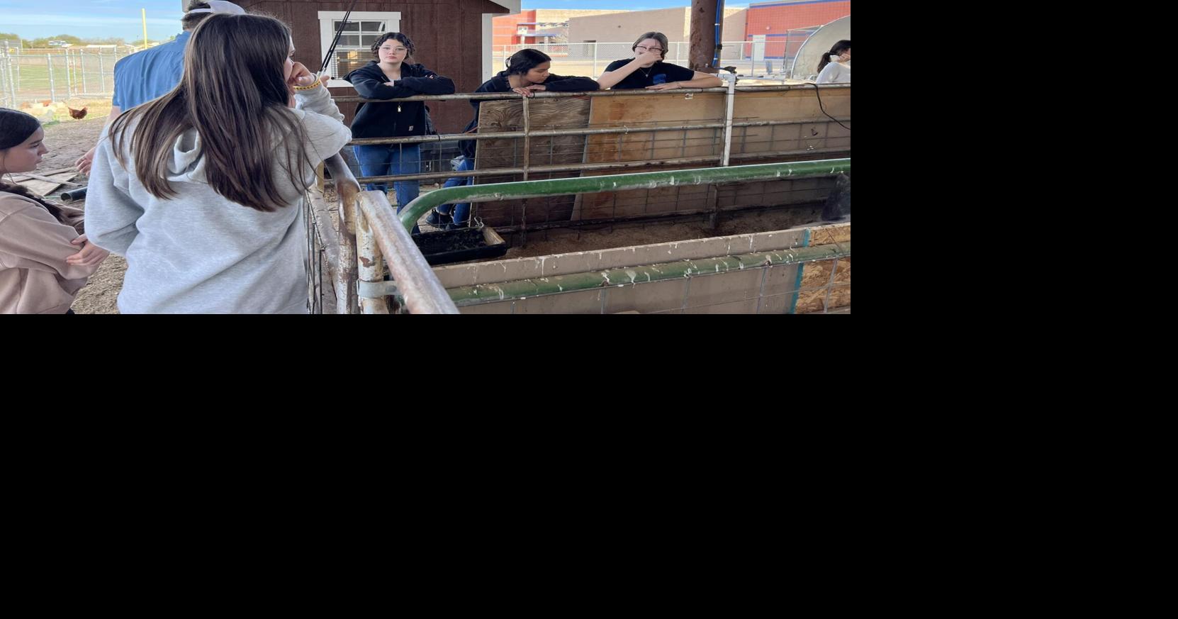 Coolidge FFA has proud tradition, but still evolves | Farm And Ranch ...