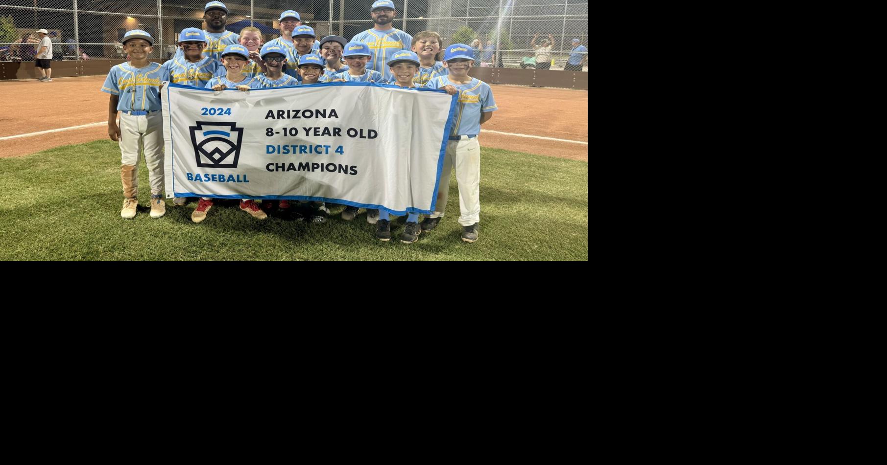 Little League roundup: 9 area teams advance to state tournaments ...