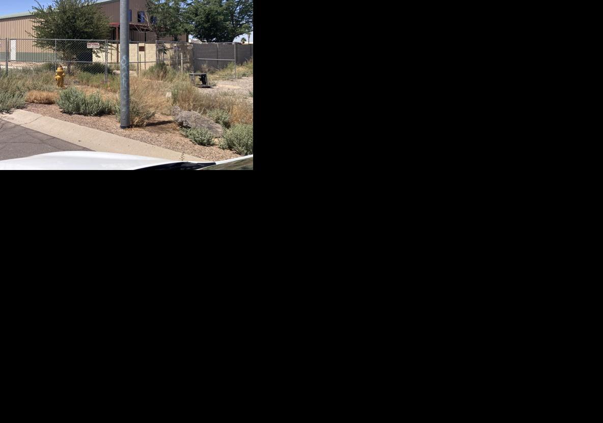 Golf tournament a 'make or break moment' for AZ City Moose Lodge | News ...