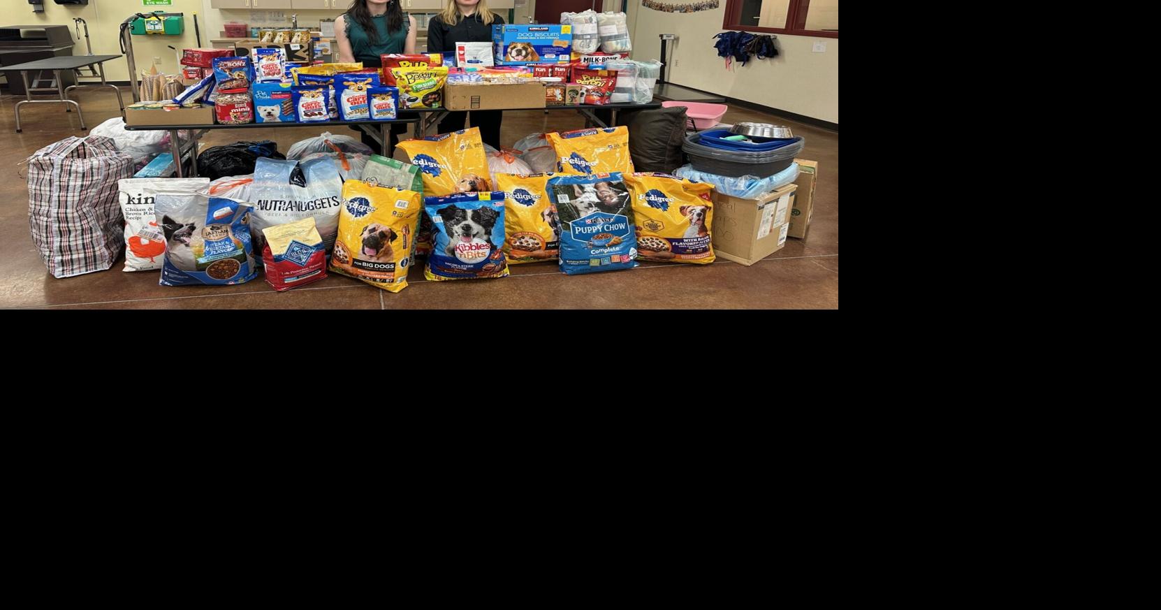 CAVIT students hope to help prevent animal overpopulation | All ...