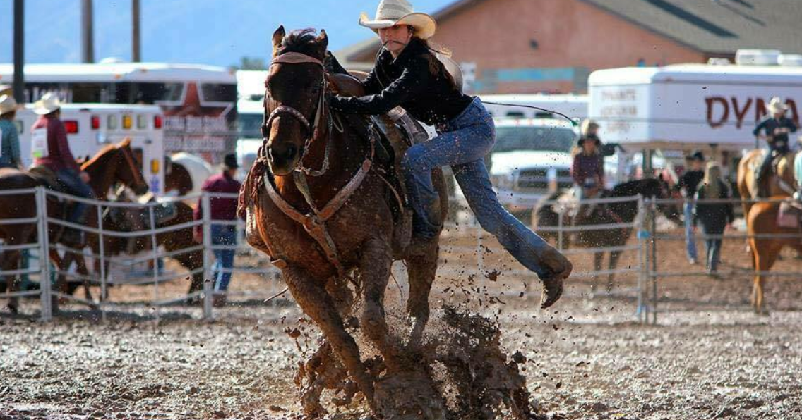 CG students competing at state fair | Area News | pinalcentral.com