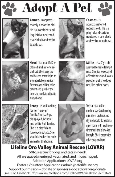 Lifeline Oro Valley Animal Rescue (LOVAR), 10/12/23 | Adopt A Pet ...