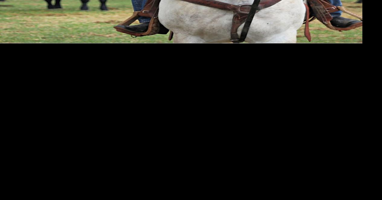 Holten: Teaching never stops | Columns | pinalcentral.com