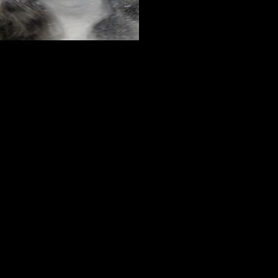 Carol Tierney | Obituaries | pinalcentral.com