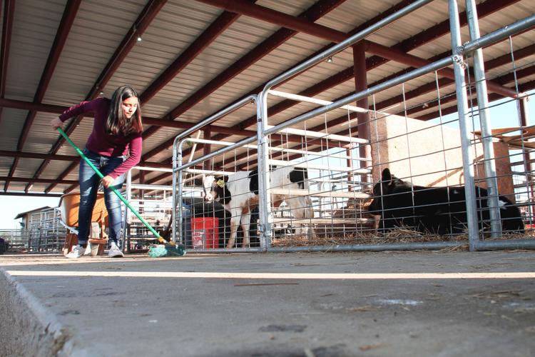 New FFA barn at Coolidge High School | Featured | pinalcentral.com
