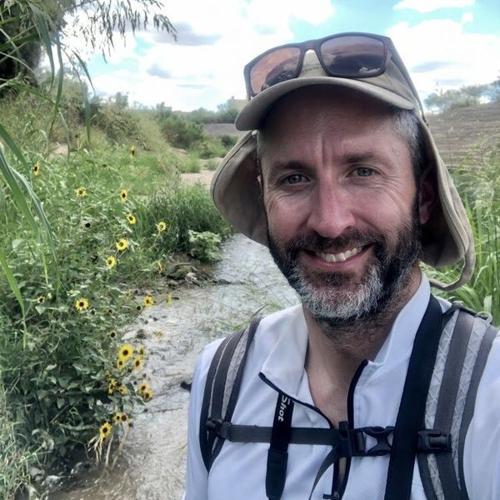 Q&A: What's up with all the crane flies? | Arizona News | pinalcentral.com