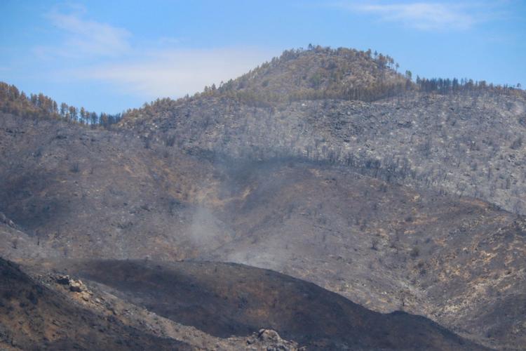 Telegraph Fire Damages 6/25/21 | News | pinalcentral.com