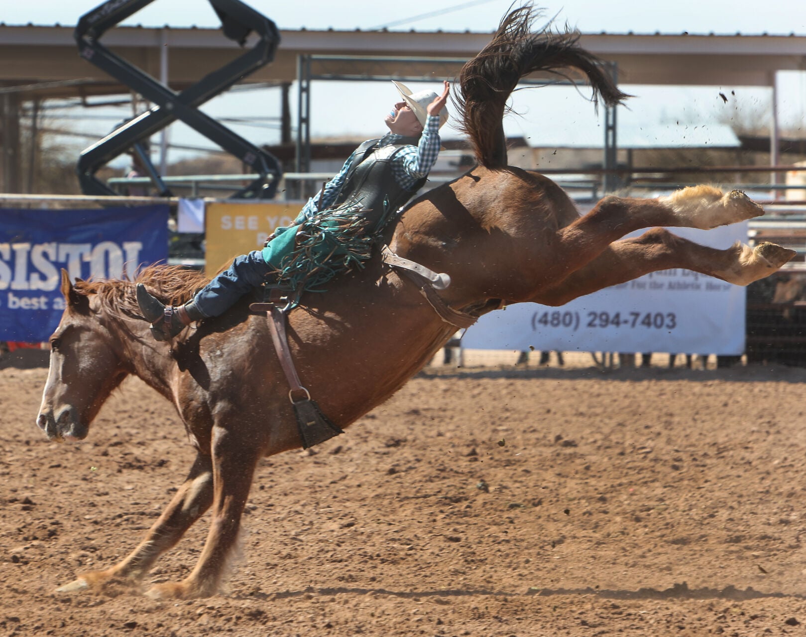 CAC Rodeo | Community Galleries | pinalcentral.com