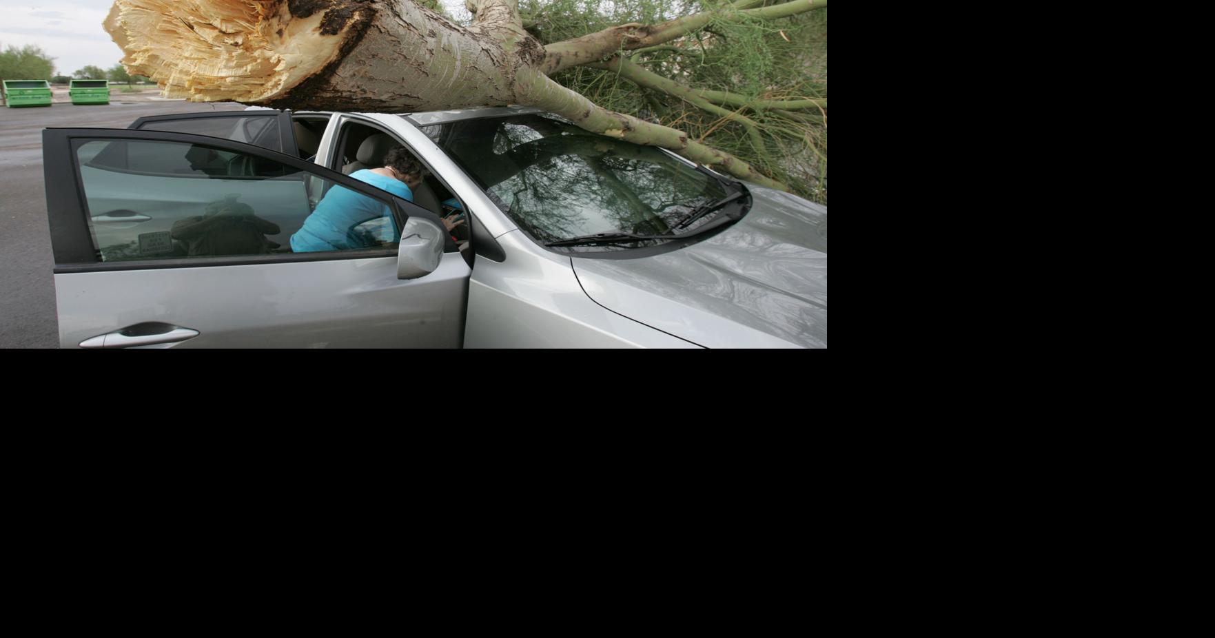 Microburst caused damage | News | pinalcentral.com