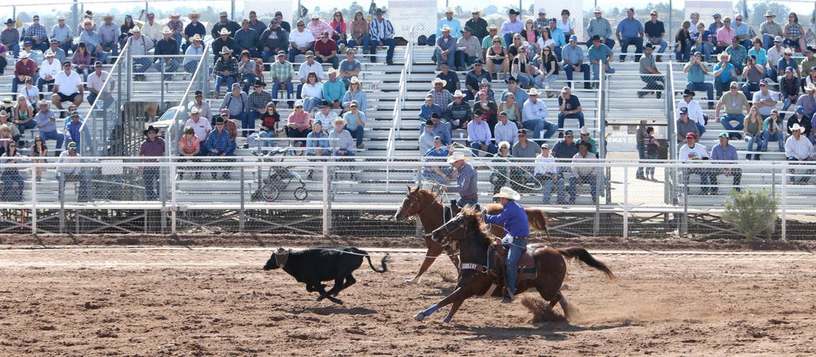 Mike Cervi event to draw top pro ropers | Area News | pinalcentral.com