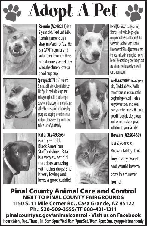 Pinal County Animal Care and Control, 4/26/22 | Adopt A Pet ...
