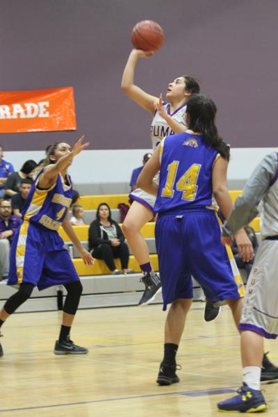 Pumas coach anticipates different type of season | Sports ...