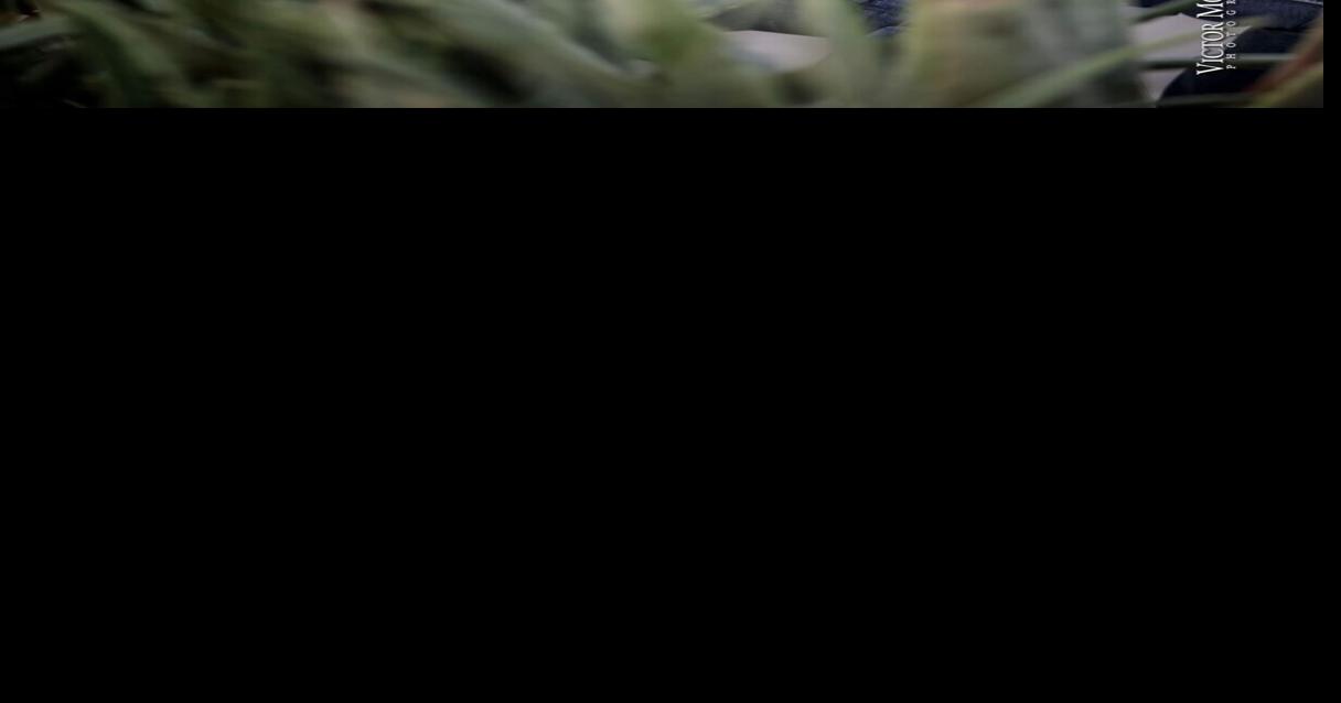 Natalie Haley, A+ Charter Schools salutatorian | Graduation ...