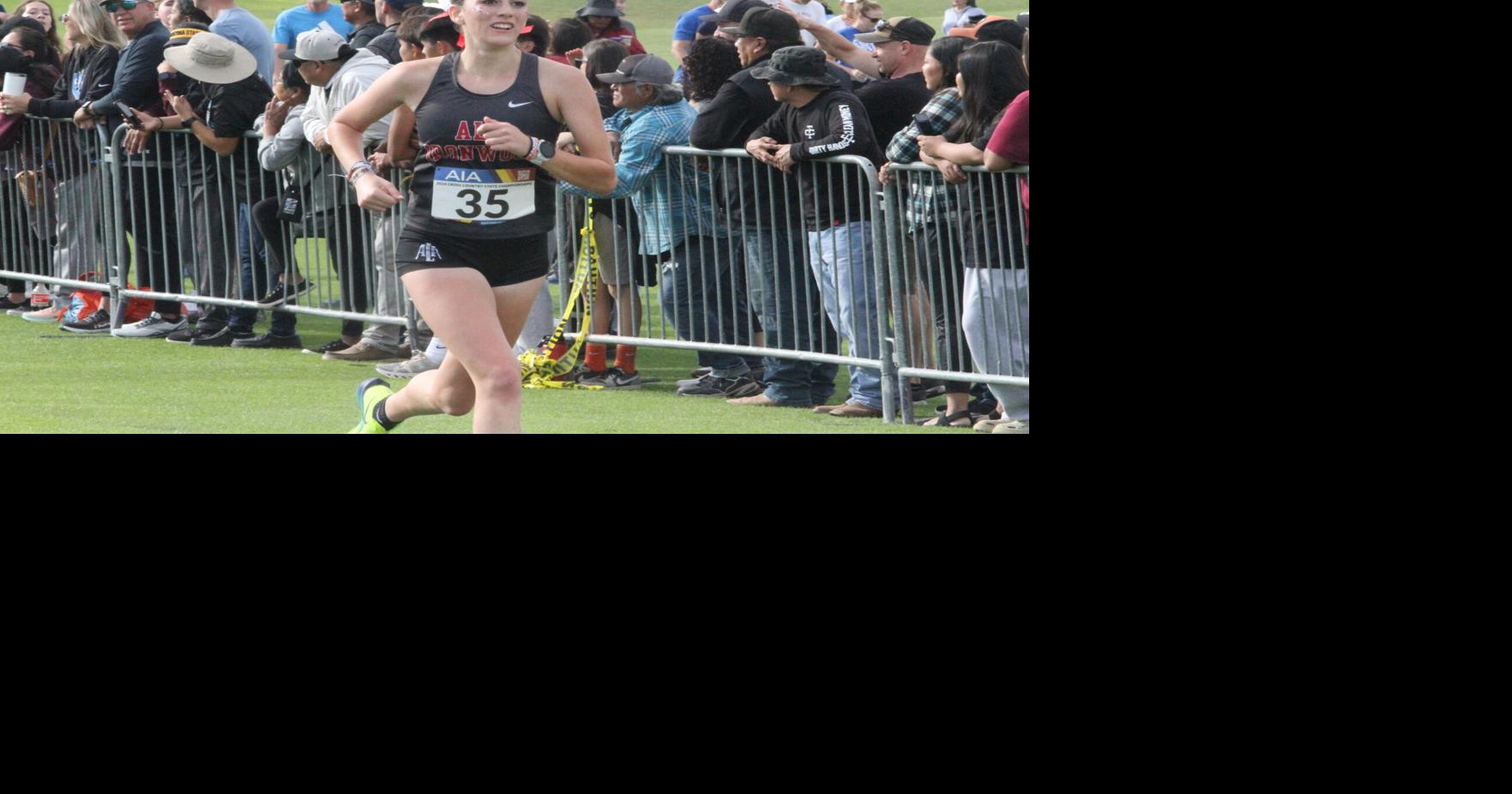 ALA-Ironwood looking to improve after state meet | Sports ...