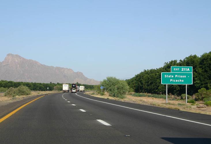 Arizona pecan production peaks | Business | pinalcentral.com