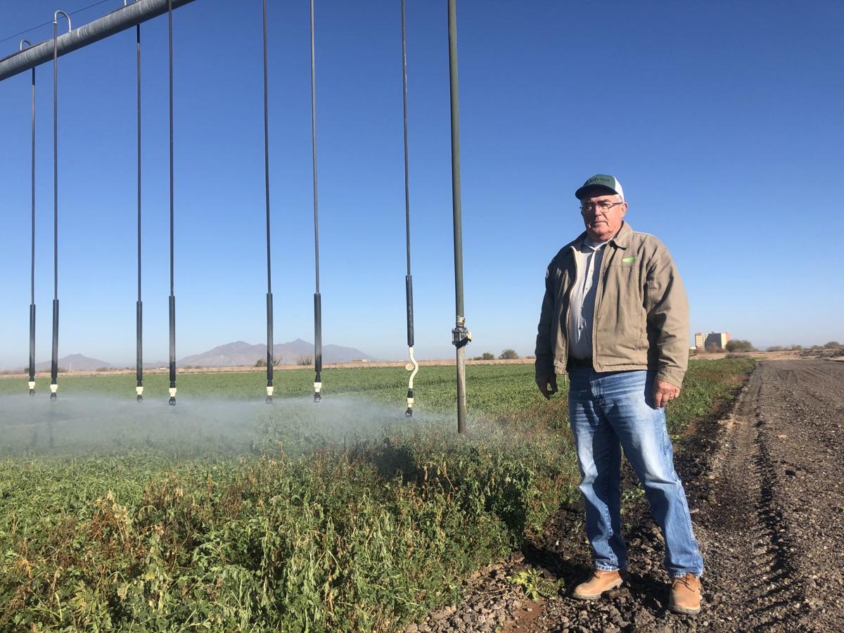 Ak-Chin Farms enters new decade focused on efficiency | Pinal Ways ...
