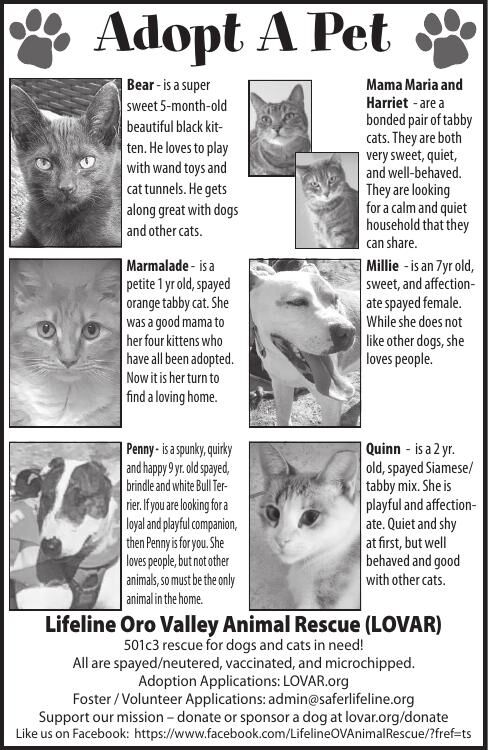 Lifeline Oro Valley Animal Rescue (LOVAR), 12/14/23 | Adopt A Pet ...