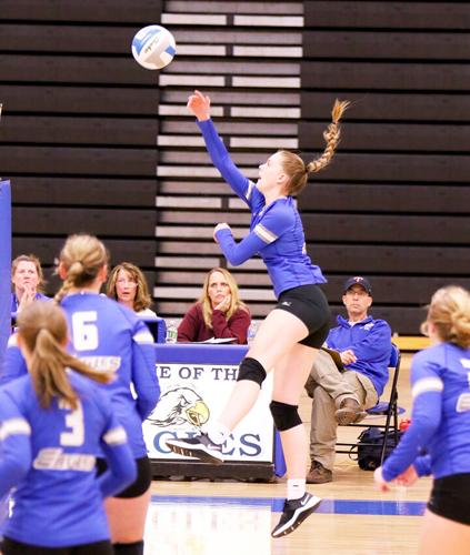 Eagles volleyball defeat McGregor, swept by Pine River-Backus ...
