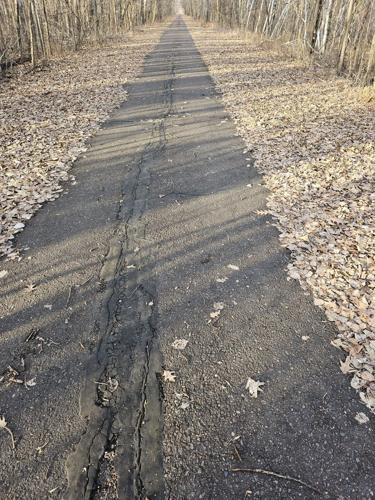 Support the Munger Trail | Columnists | pinecountynews.com