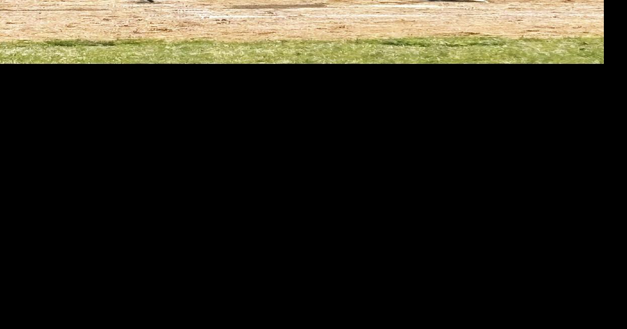 Dragon baseball improving with season | Communities | pinecountynews.com