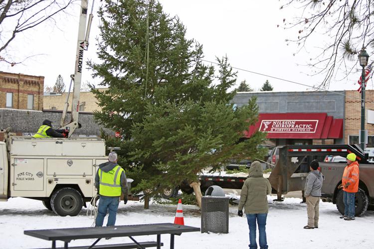 Preparations underway for Holiday Madness! | Pine City Pioneer | pinecountynews.com