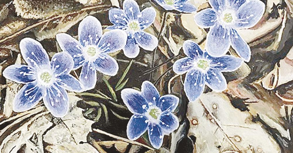 Gilman’s work goes on display at Art Center | News | pinecountynews.com