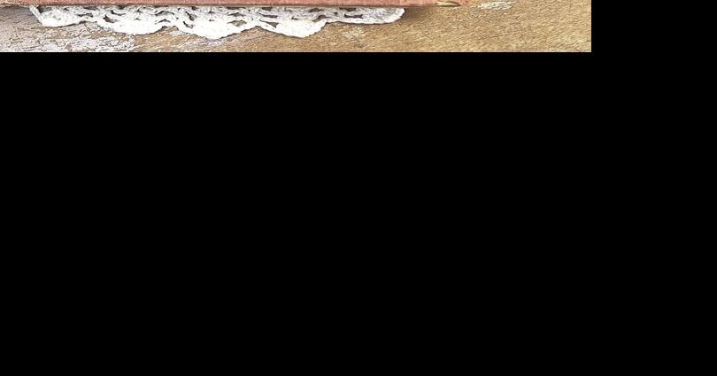 Hinckley Fire Museum acquires new book | Hinckley | pinecountynews.com