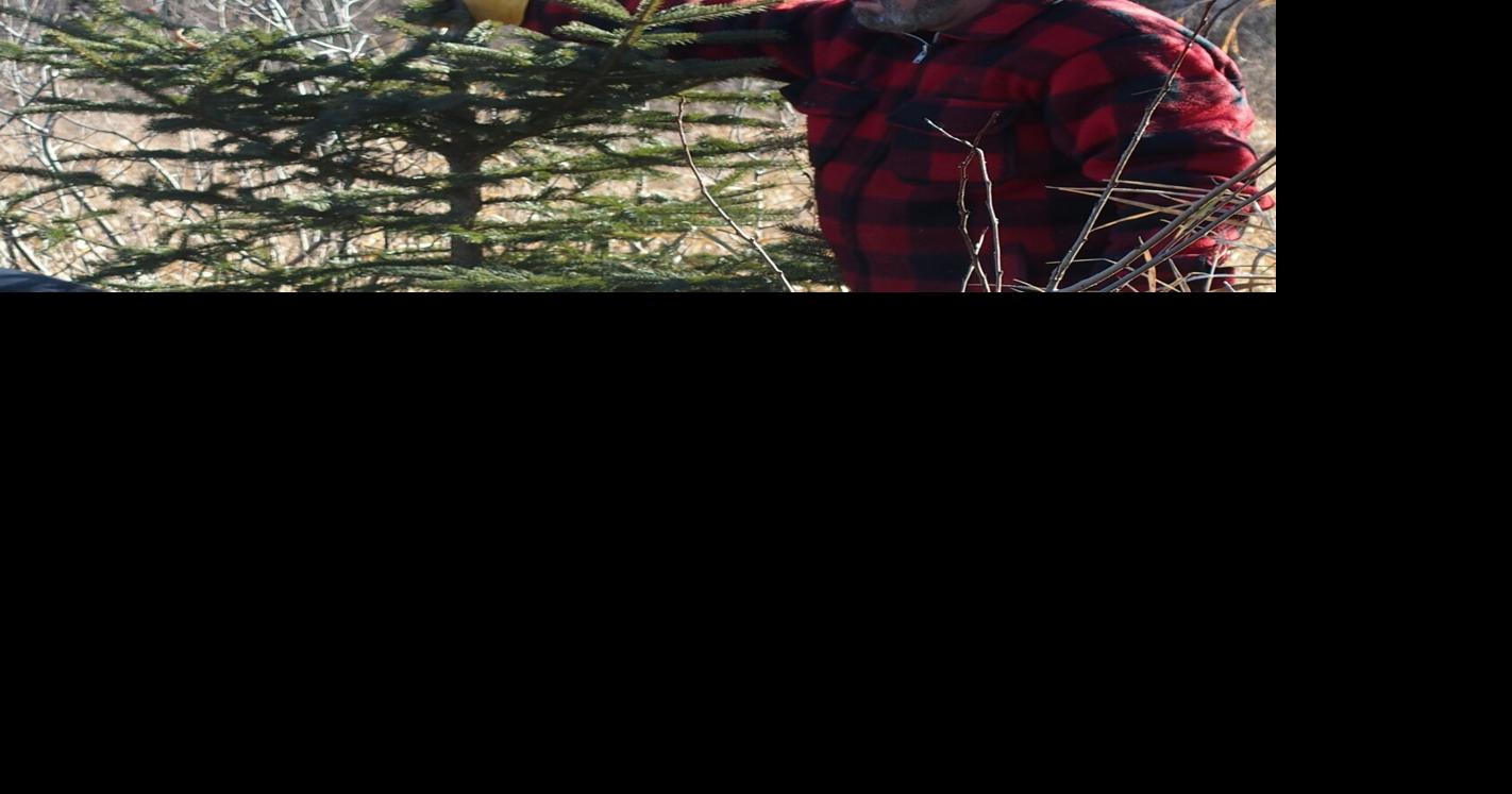 William Tenquist | North Pine County | pinecountynews.com