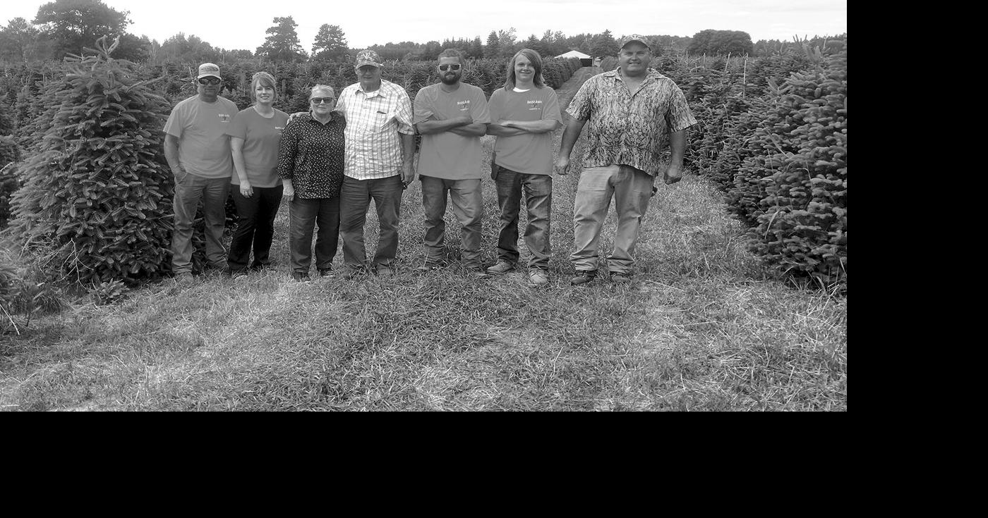 Happy Land Tree Farms home to Farm Family of the Year | Pine City ...