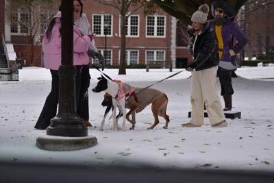 ECU Students and Faculty Adapt to Unexpected Snow Days | The East ...