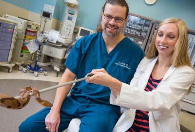 Venom Week unites experts in countering attacks | News | piratemedia1.com