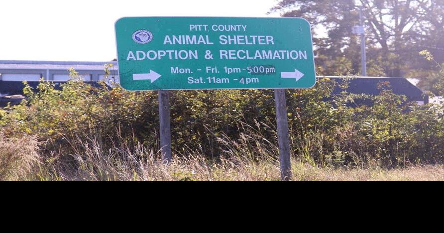 ‘Sit. Stay. Smile!’ to benefit Pitt County Animal Services | The East ...