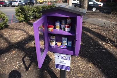 Mini Purple Pantry provides instant food access to students | The East ...