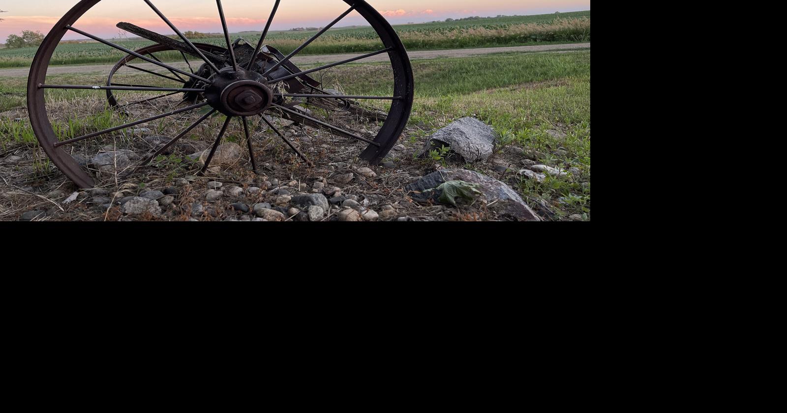 Vermillion Girl Among Winners In ‘Celebrating Life On The Farm & Ranch ...