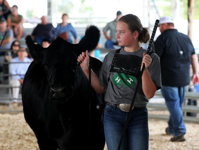 Scenes From The Clay County Fair, Saturday, Aug. 9, 2025 | Gallery | plaintalk.net