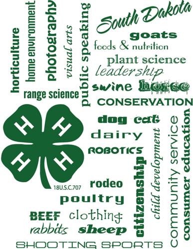 Clay County 4-H Recognition Event Held | Local News | plaintalk.net