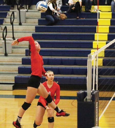 Tanagers Season Ends With Loss To Tea | Sports | plaintalk.net