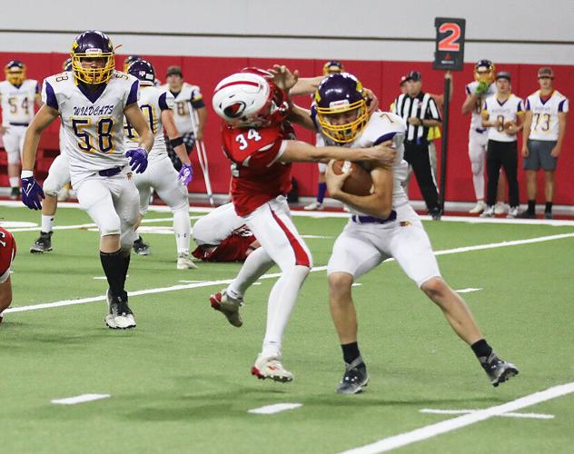 Tanagers Defeat Wildcats 28-0 For Homecoming Football Win | Sports ...