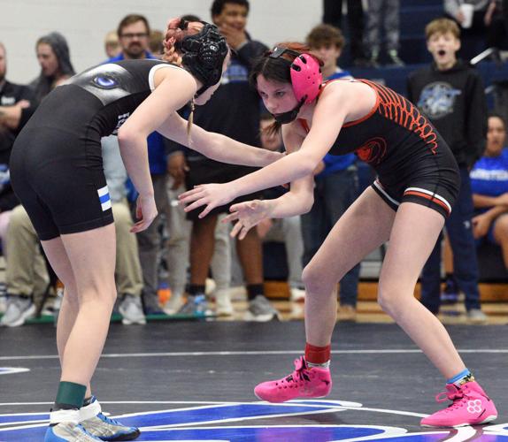 Tanagers Punch Ticket To State Wrestling | Sports | plaintalk.net