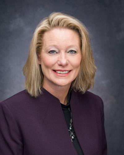 Gestring: USD Seeing Progress At Both Vermillion, Sioux Falls Campuses ...