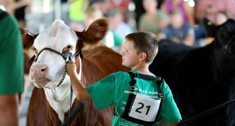 Saturday At The Clay County Fair | | plaintalk.net