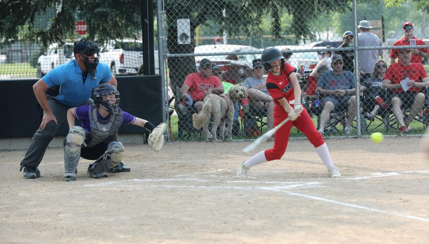 Softball: Watchdogs Upend Vermillion | Sports | plaintalk.net