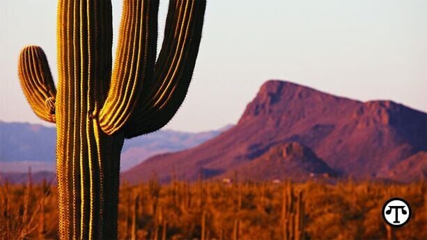 New Year, New Adventures: Tucson Treasures that Give Back | Travel ...