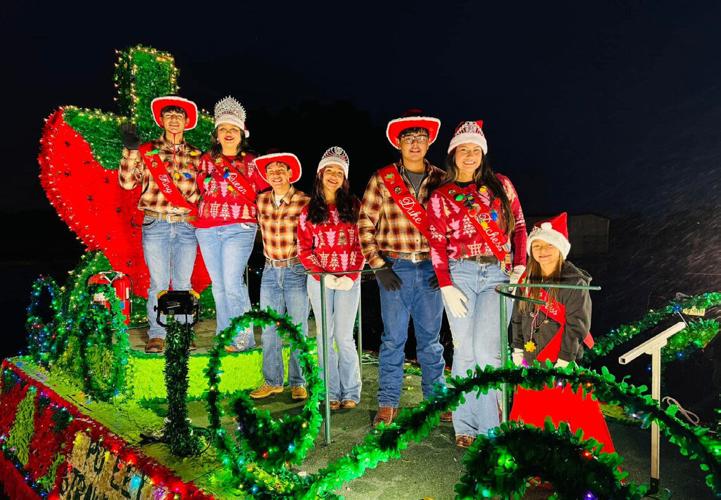 MERRY ON MAIN LIGHTED CHRISTMAS PARADE WINNERS | News ...