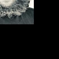 Carl John Lockley | Obituaries | pleasantonexpress.com